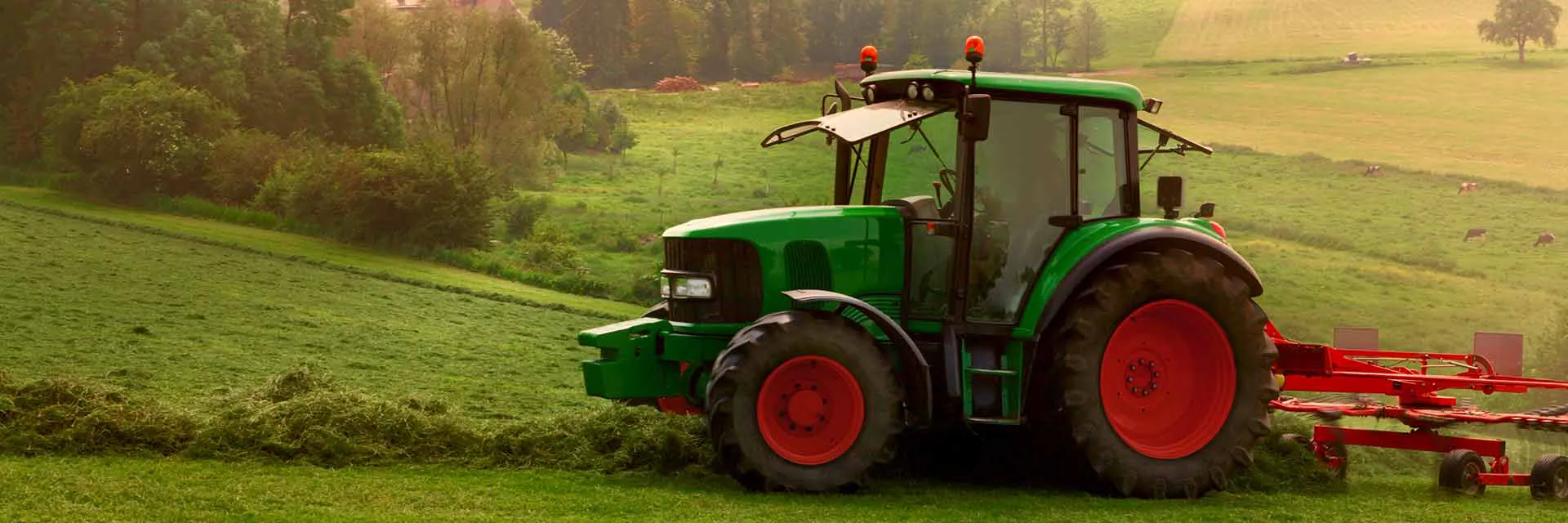 Shackelton Auctions | Springfield, Ontario | We do auctions of all ...